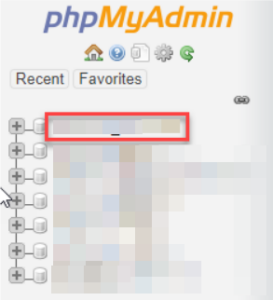 How to Execute SQL Queries in phpMyAdmin