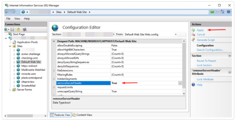 Remove Server Header in IIS (Disable Server Header Guide)